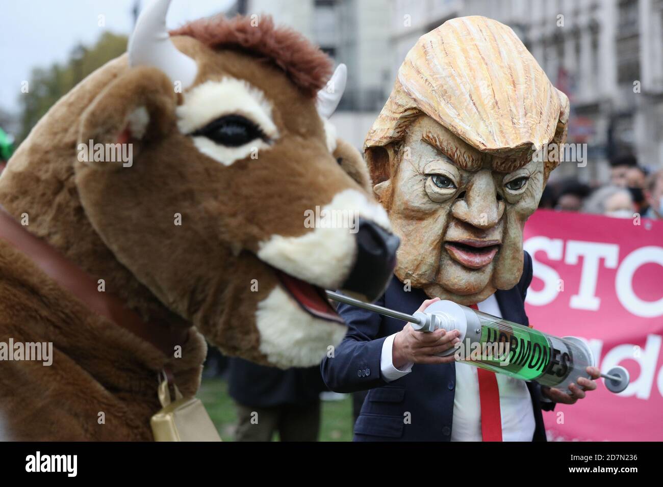 Pantomime cow hi-res stock photography and images - Alamy