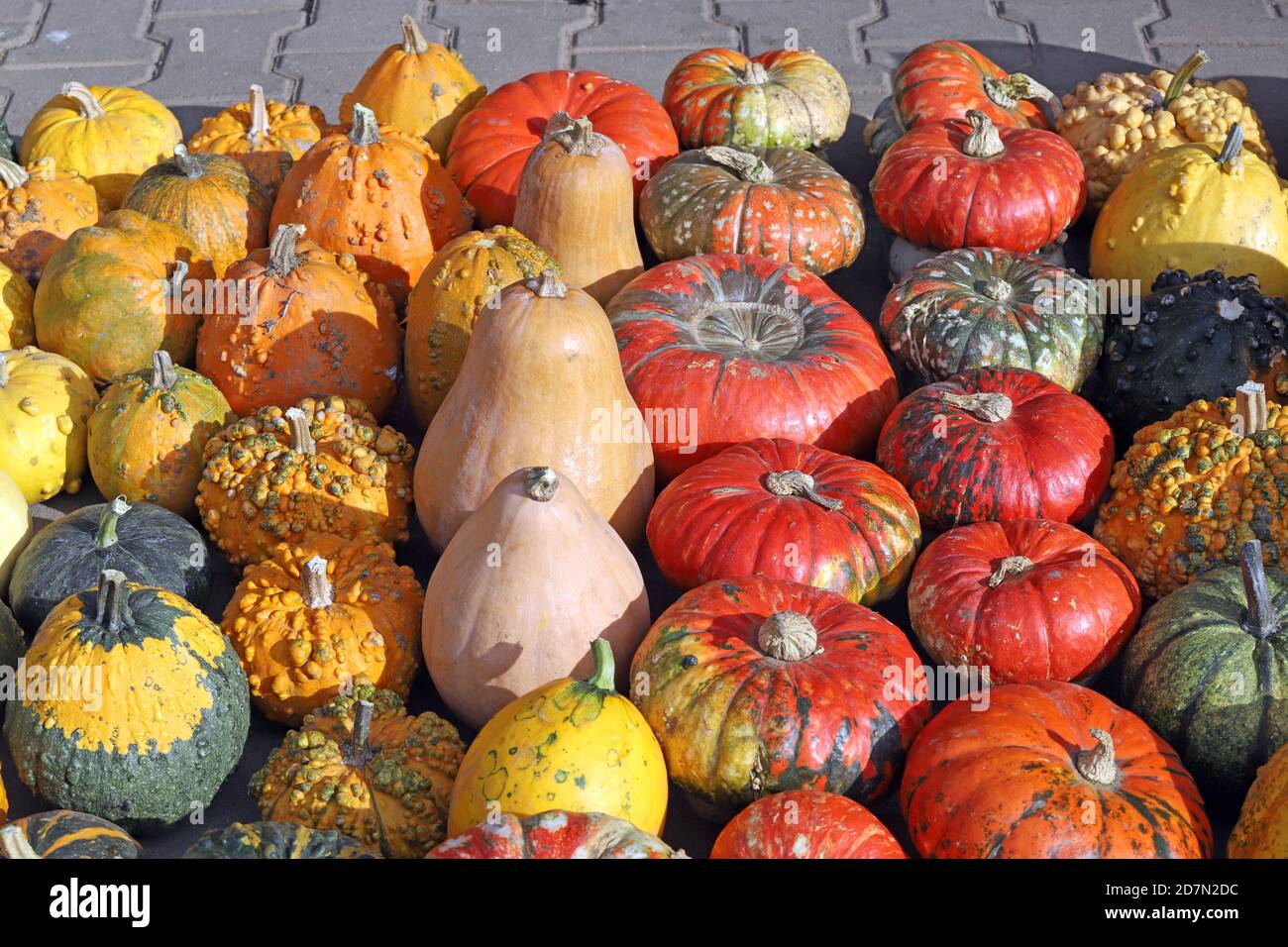 Colorful ornamental pumpkins, gourds and squashes in the street for ...