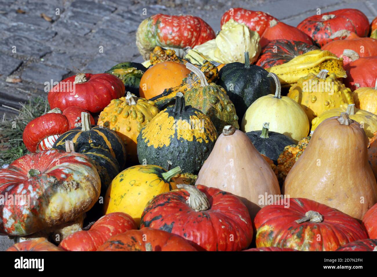 Colorful ornamental pumpkins, gourds and squashes in the street for ...