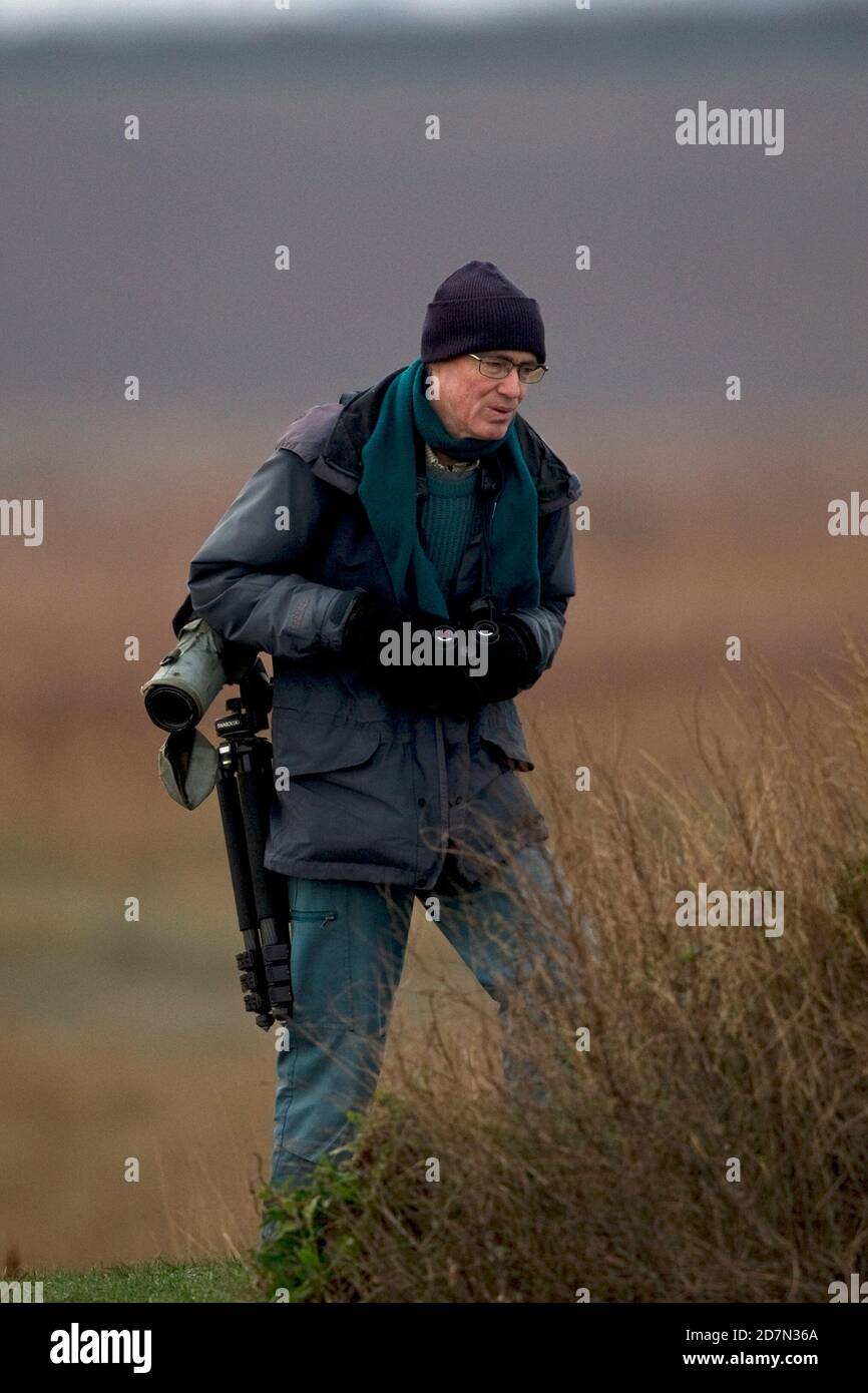 Andy bird hi-res stock photography and images - Alamy