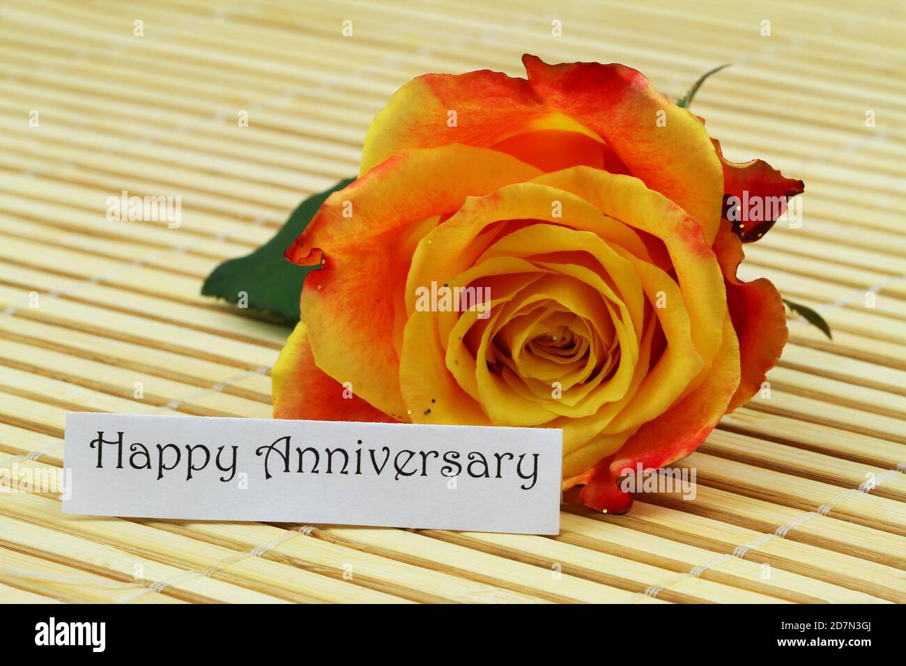 Anniversay card with rose hi-res stock photography and images - Alamy