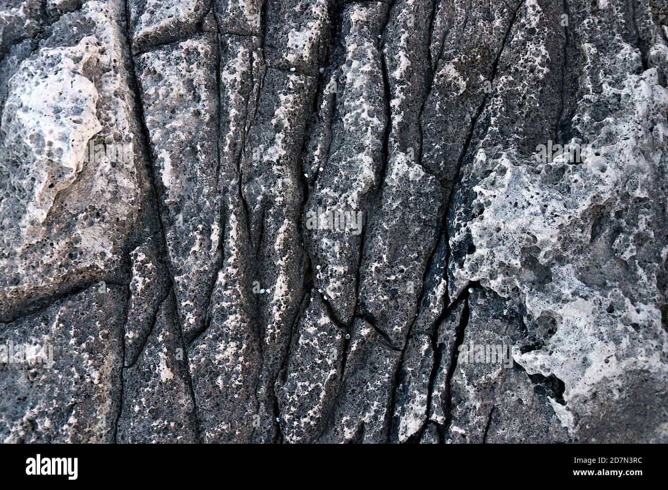 Closeup coast rock texture hi-res stock photography and images - Alamy