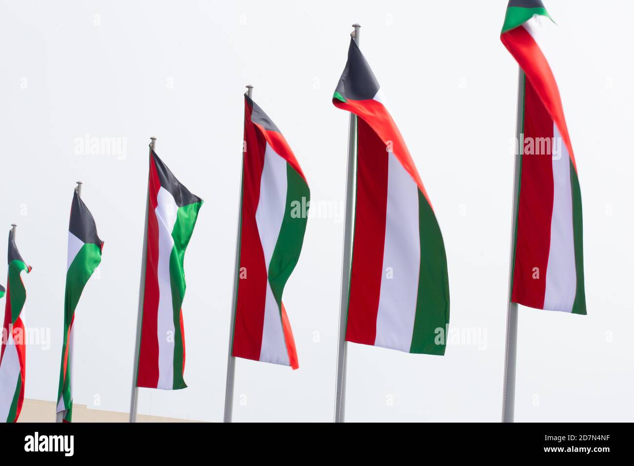 Multiple Kuwait national flags flying during natinal day Stock Photo ...
