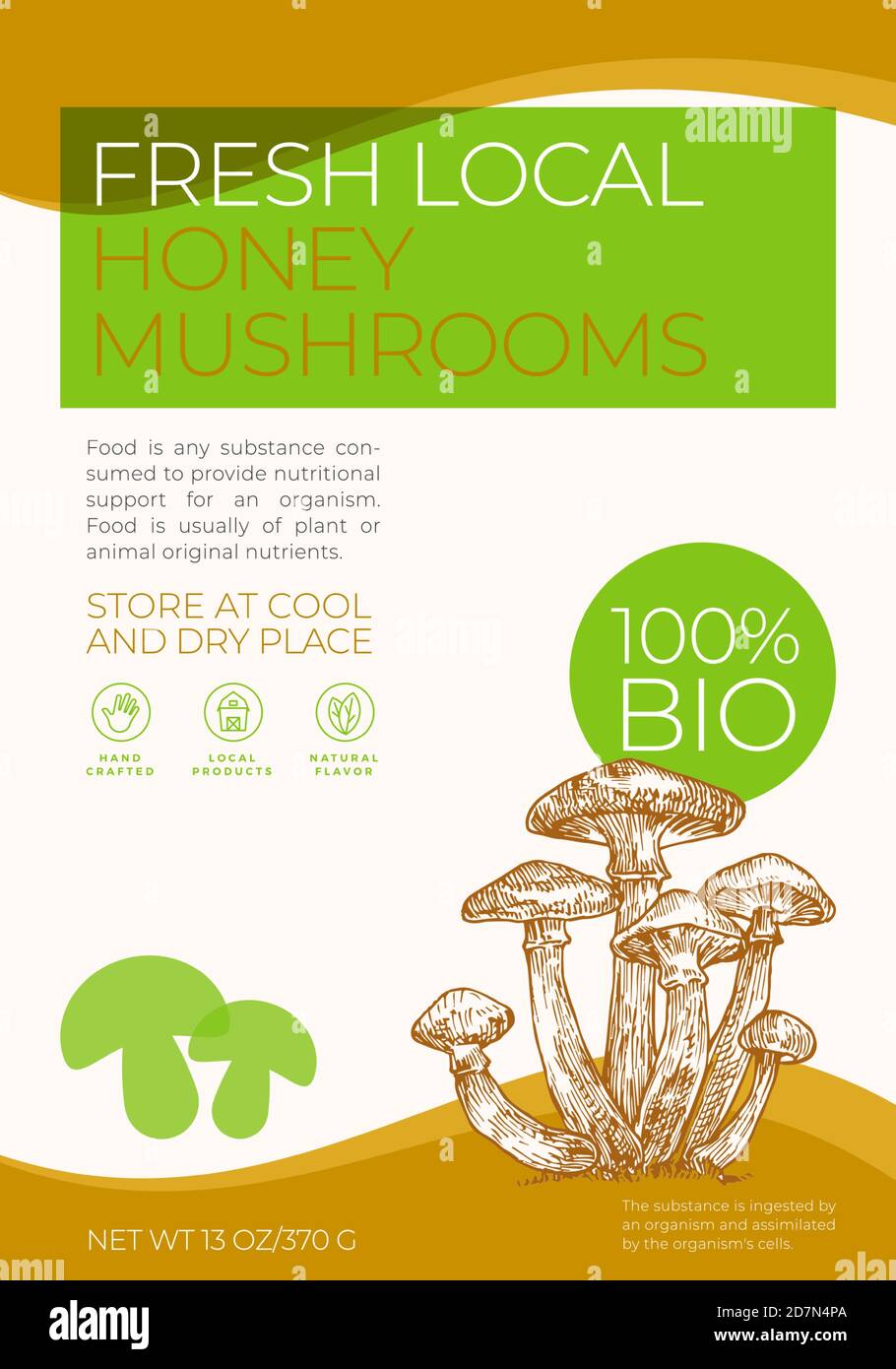 Fresh Local Mushrooms Label Template. Abstract Vector Packaging Design ...