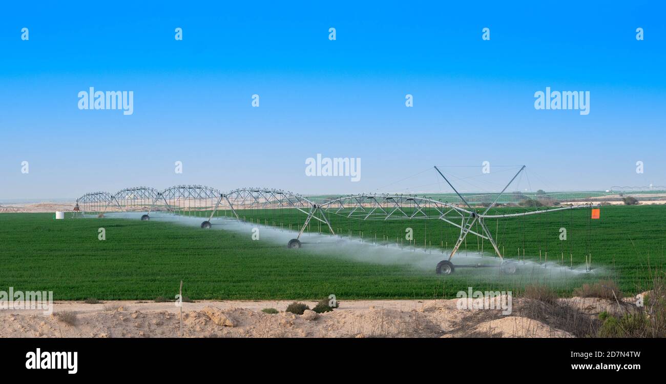 irrigated by a pivot sprinkler system in Qatar farms Stock Photo - Alamy
