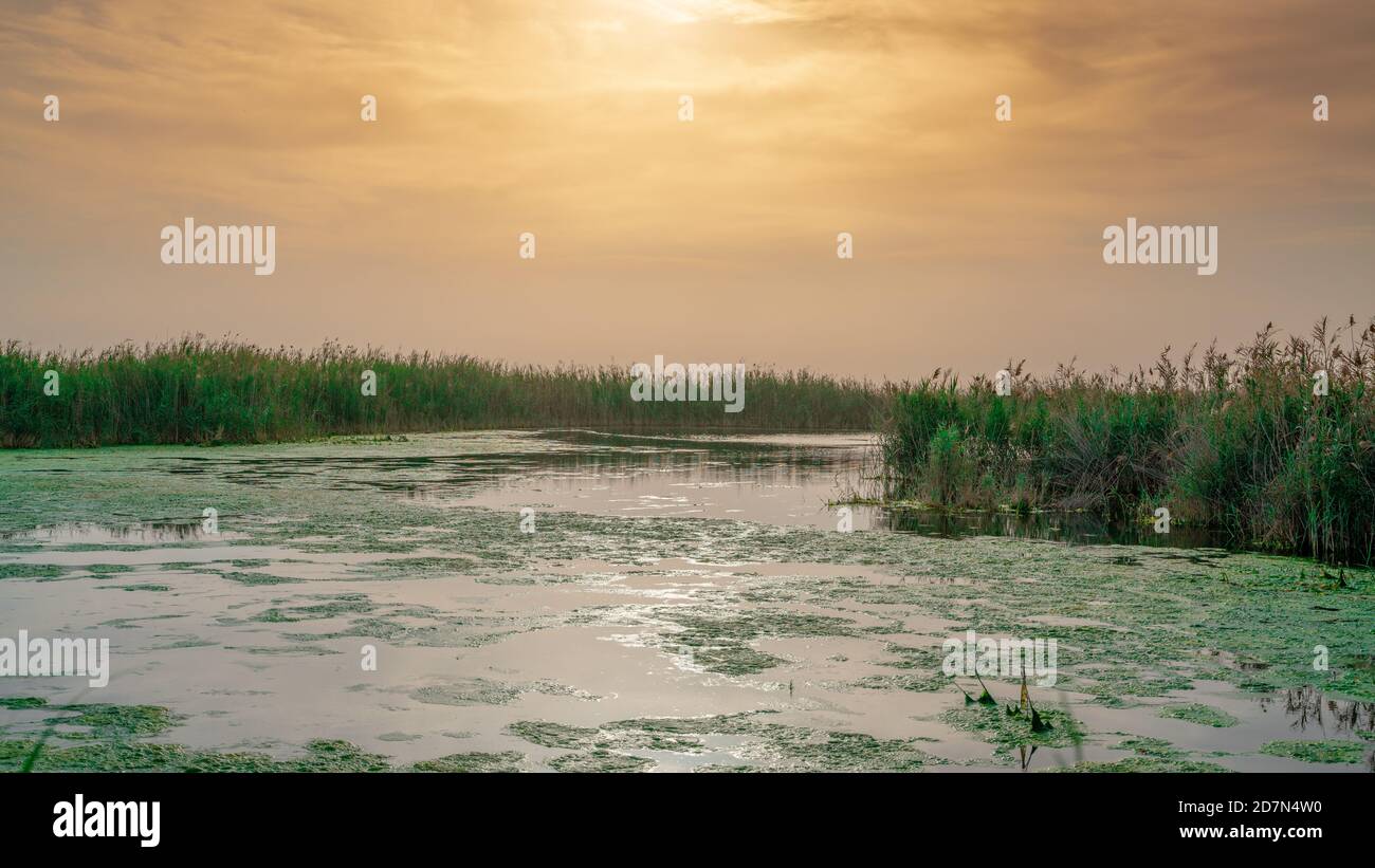 Beautiful nature image of lake near irkaya farm in Doha,Qatar,Qatar ...