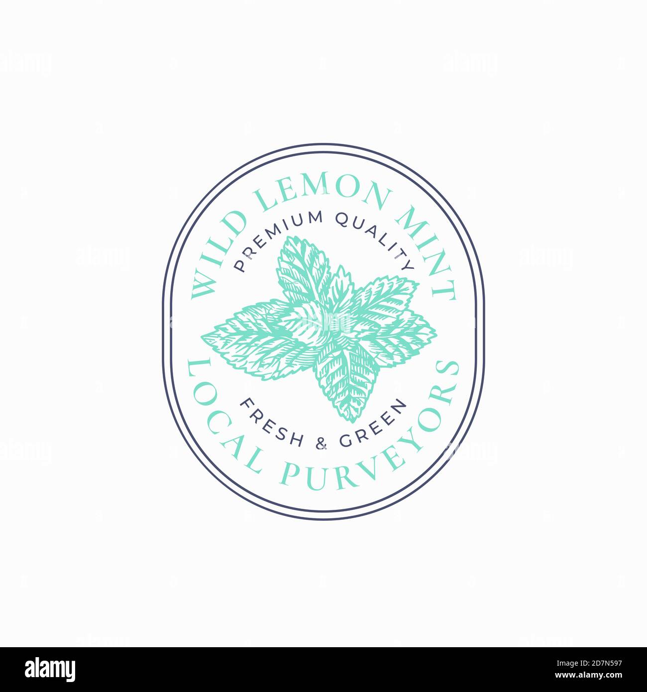 Wild Mint Frame Badge or Logo Template. Hand Drawn Menthol Leaves ...