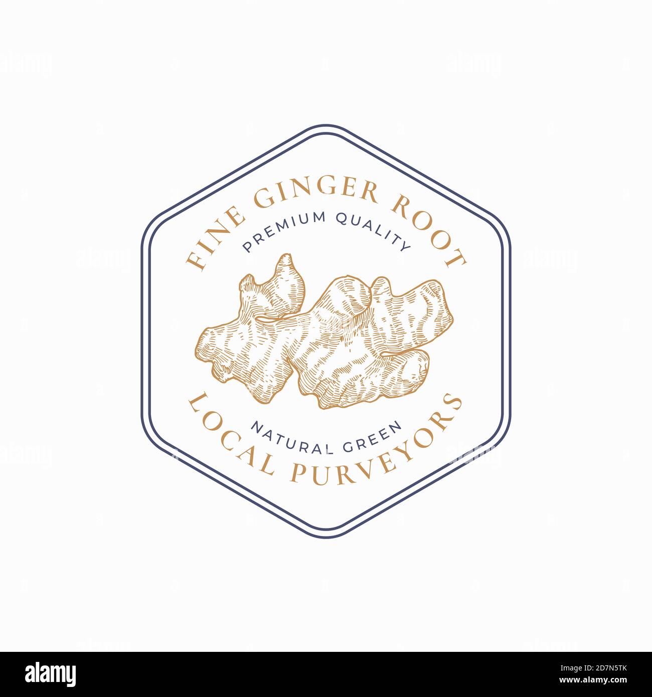 Ginger Root Abstract Vector Sign, Symbol or Logo Template. Hand Drawn ...