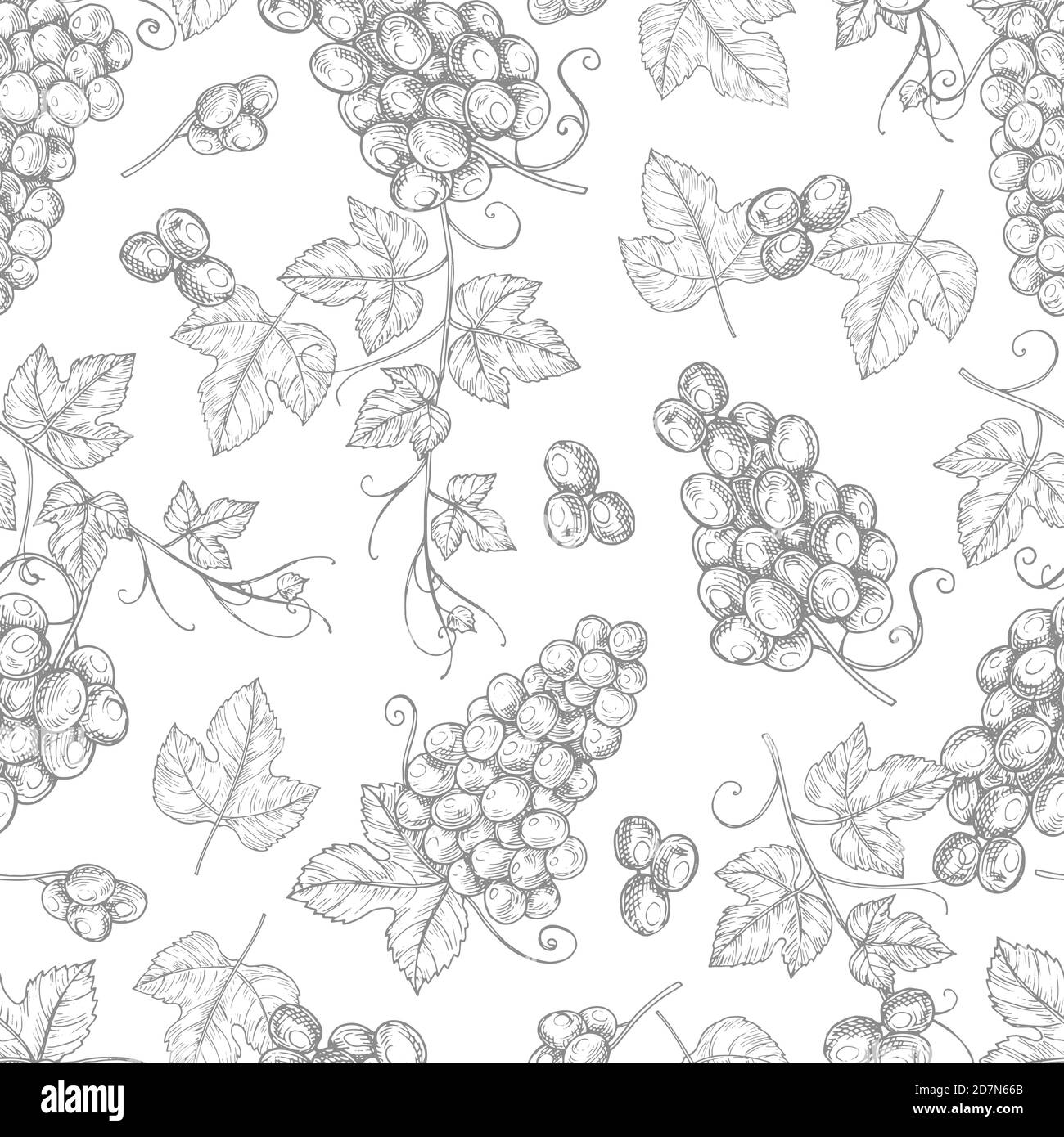 Sketch grapes seamless pattern vector texture background. Illustration of seamless pattern ...