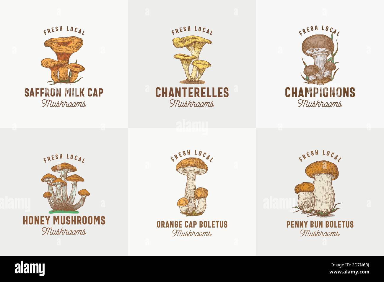 Fresh Local Mushrooms Abstract Signs, Symbols or Logo Templates ...