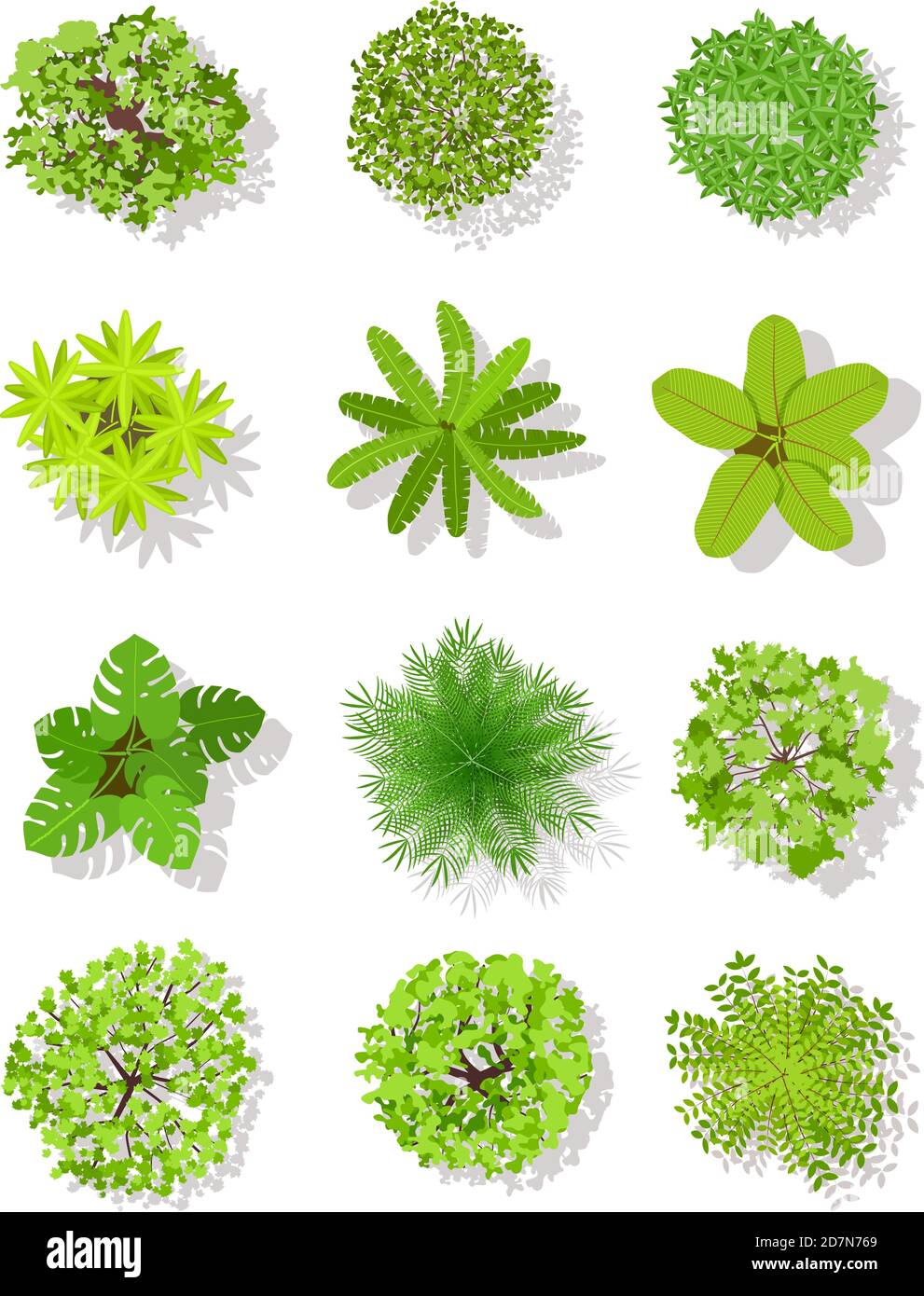 Landscape Design Trees