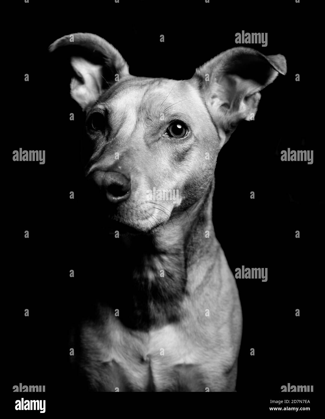 Low_key Black and White Stock Photos & Images - Alamy