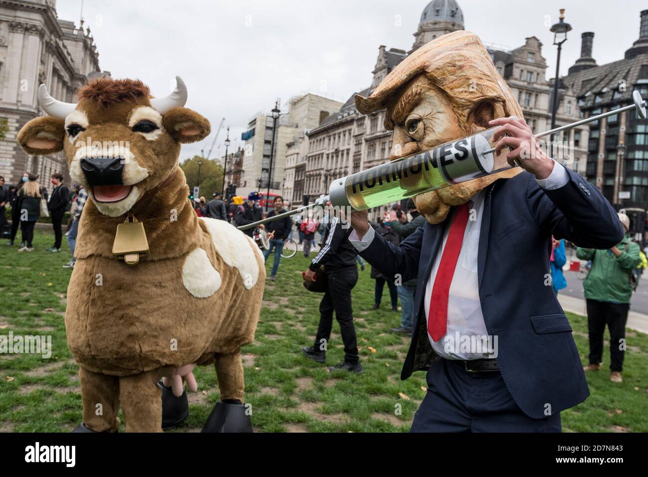 Trump chicken hi-res stock photography and images - Alamy