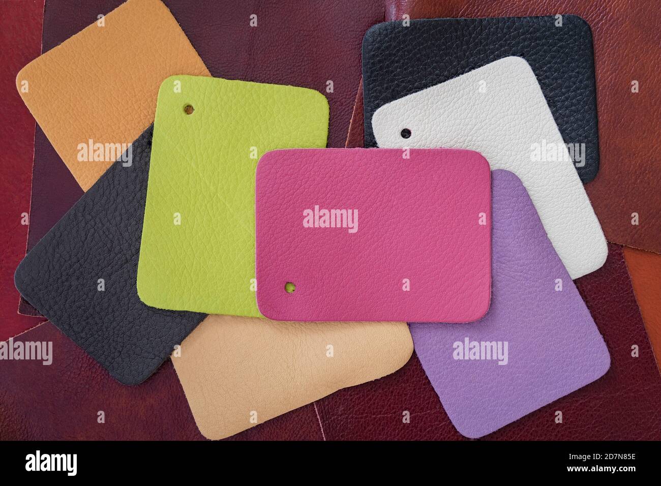Set of various samples of leather of different colors, choice for ...