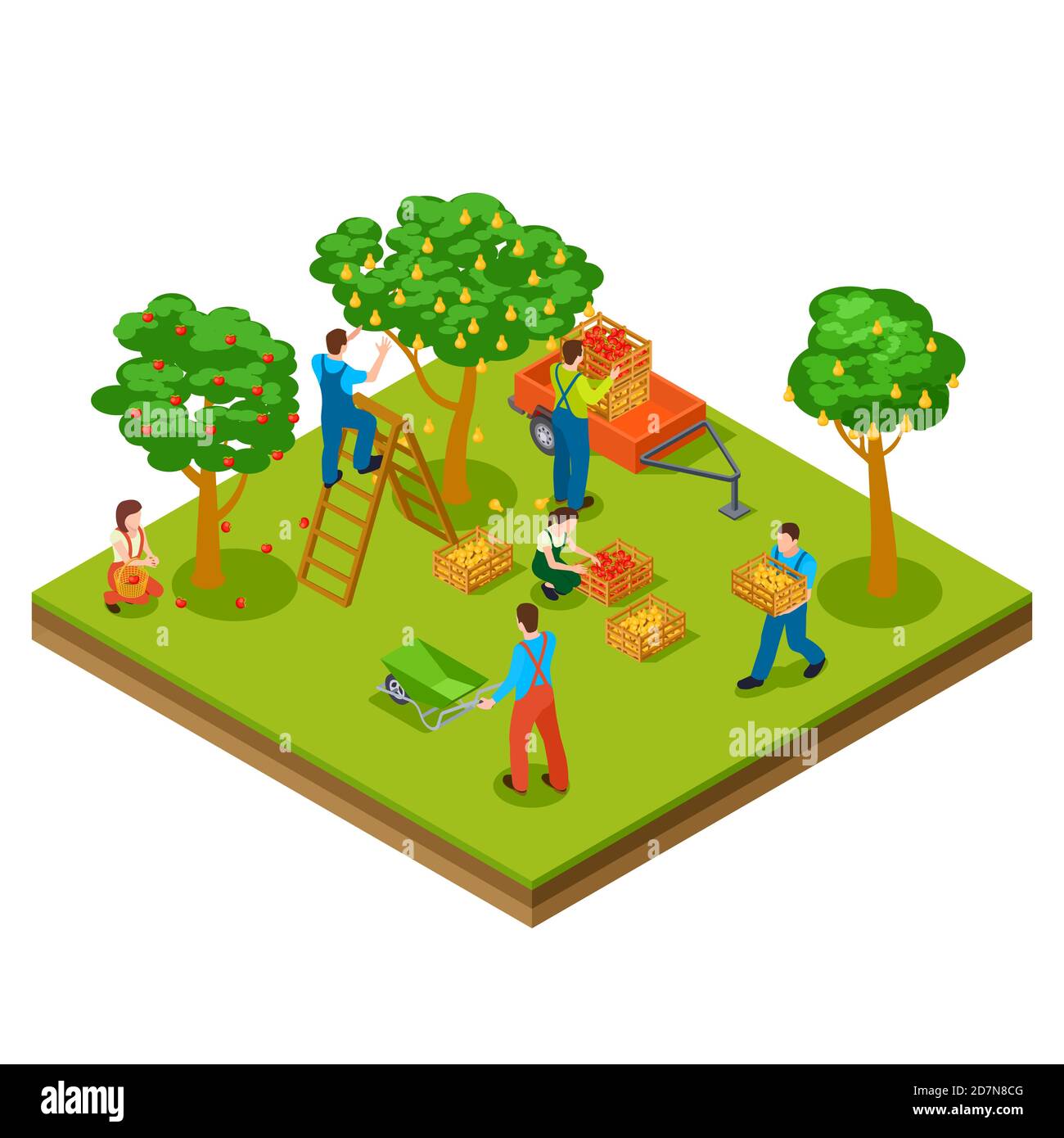 Organic gardening fruit Stock Vector Images - Alamy