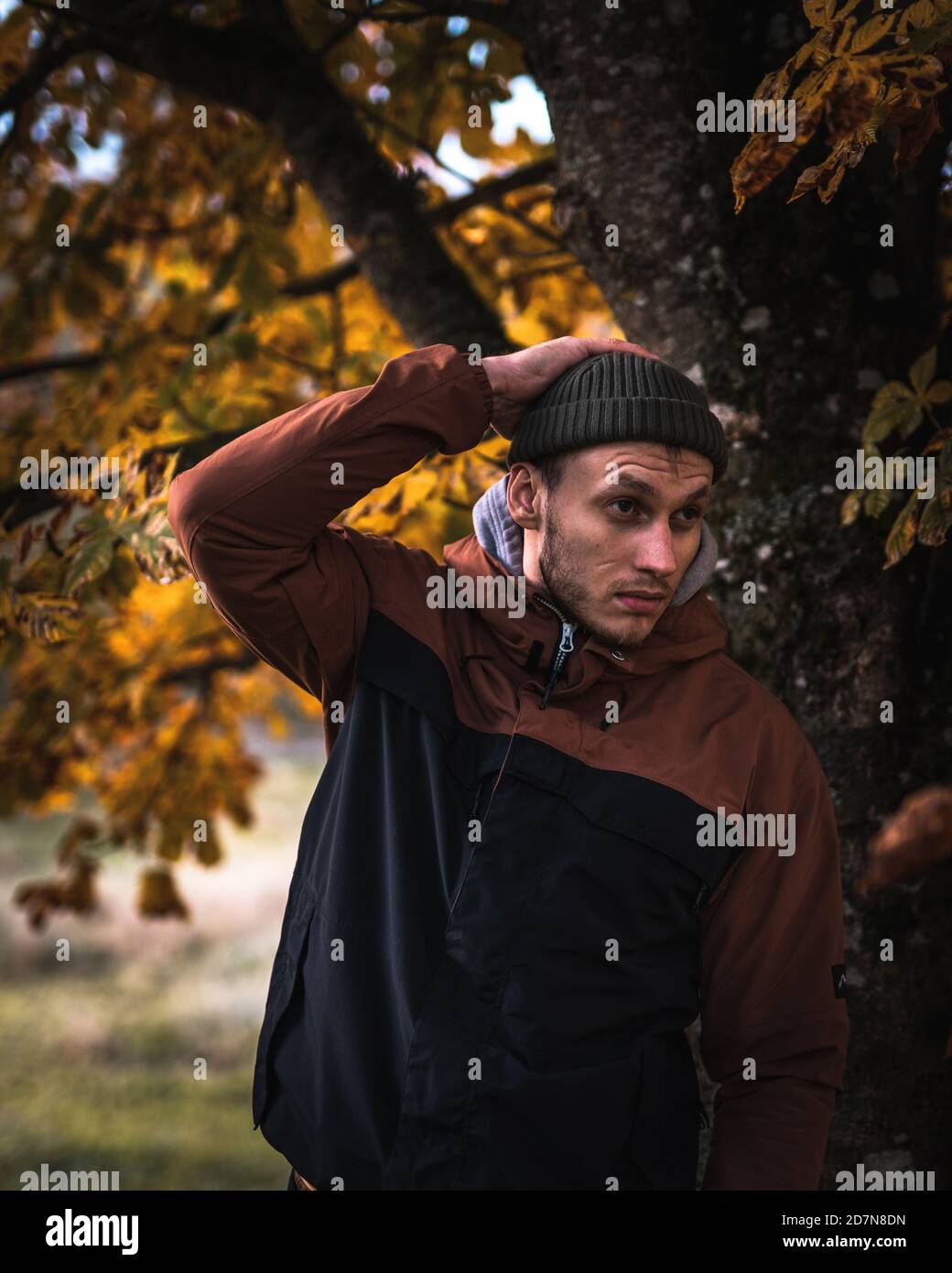 Guy walking in autumn forest hi-res stock photography and images - Alamy