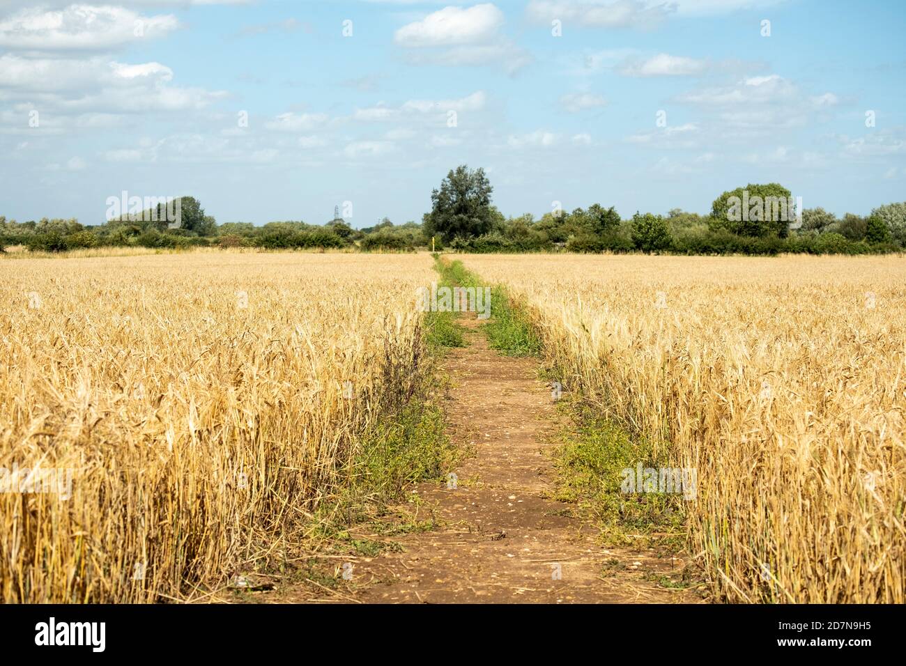 Well worn field path hi-res stock photography and images - Alamy