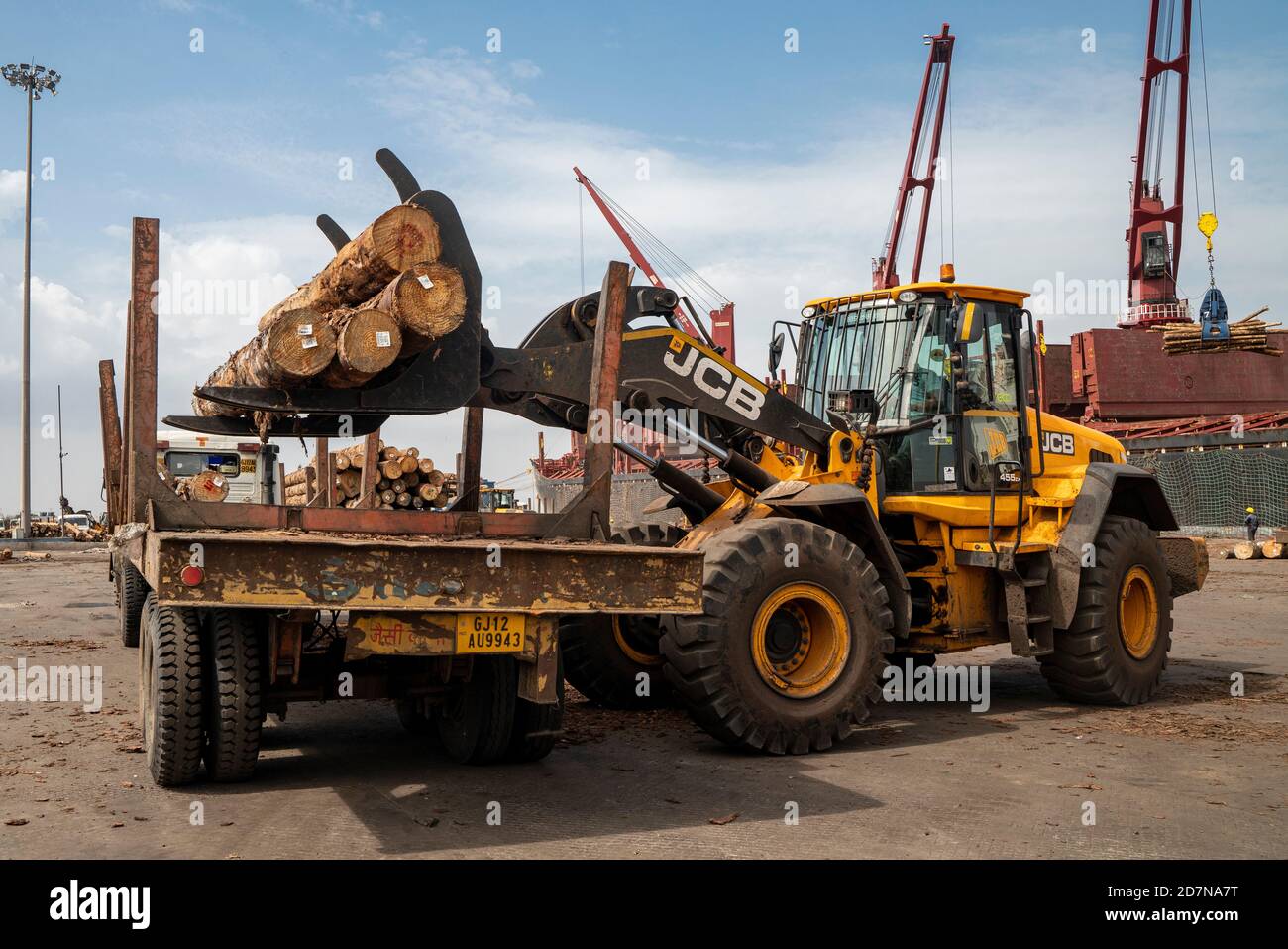Kandla,20 August, 2019: Loading of imported timber logs on trailer ...