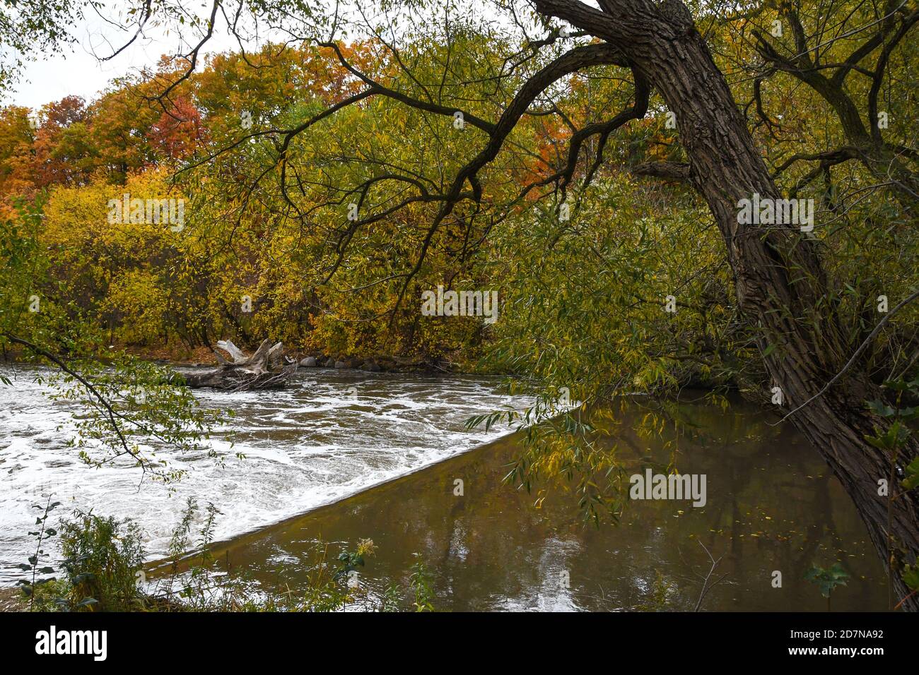 The Don River flowing at East York, Toronto Stock Photo - Alamy