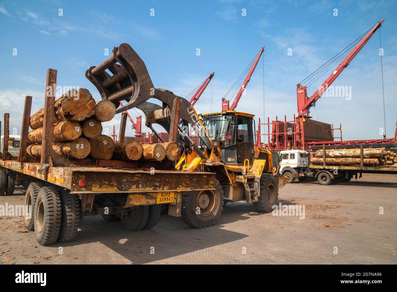 Kandla,20 August, 2019: Loading of imported timber logs on trailer ...