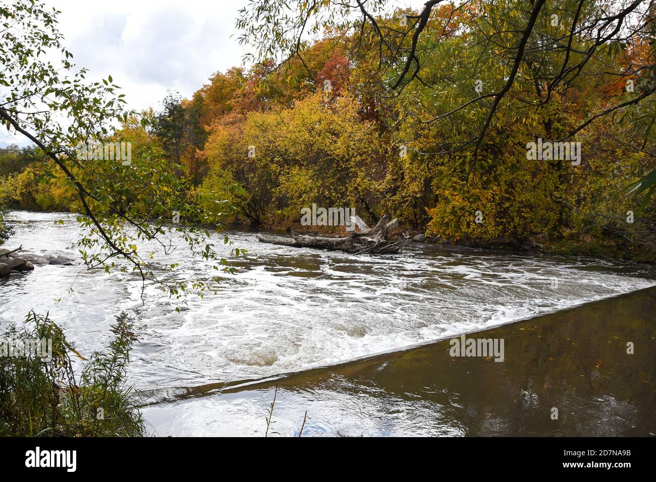 The Don River flowing at East York, Toronto Stock Photo - Alamy