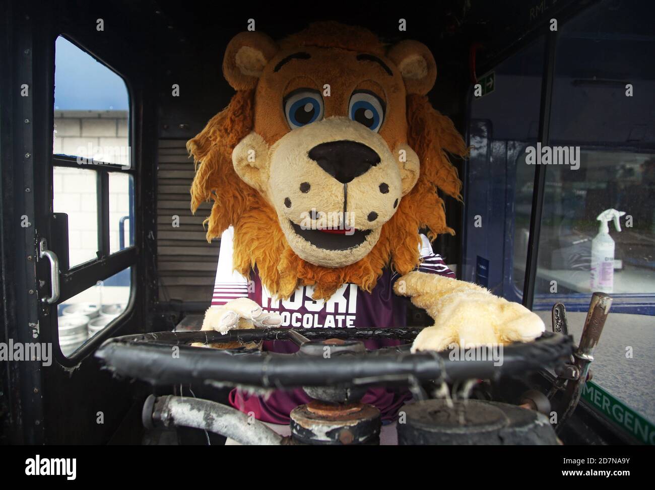 Millwall mascot zampa the lion hi-res stock photography and images - Alamy
