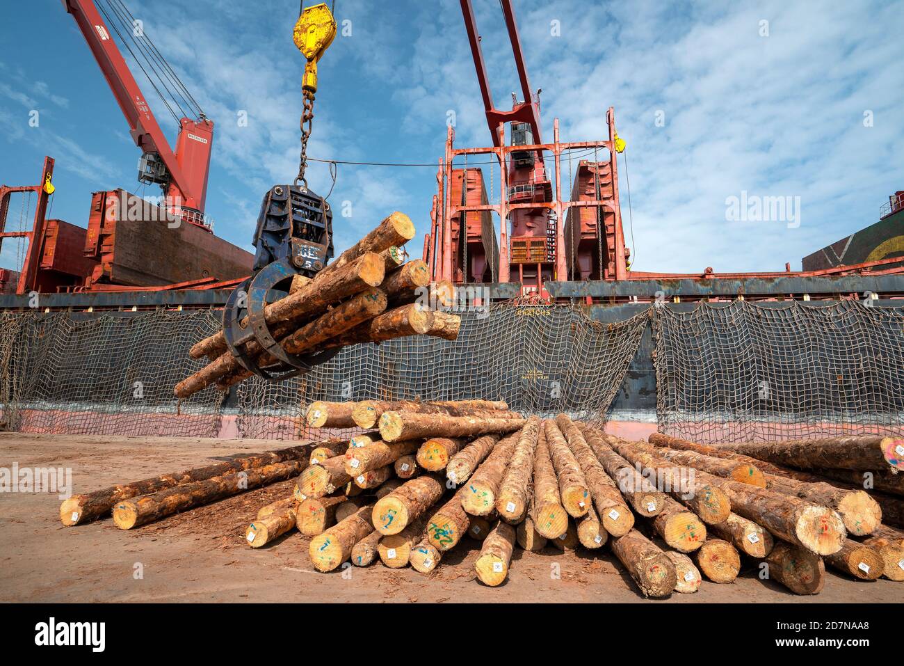 Kandla,20 August, 2019: Unloading of Imported timber logs by crane from ...