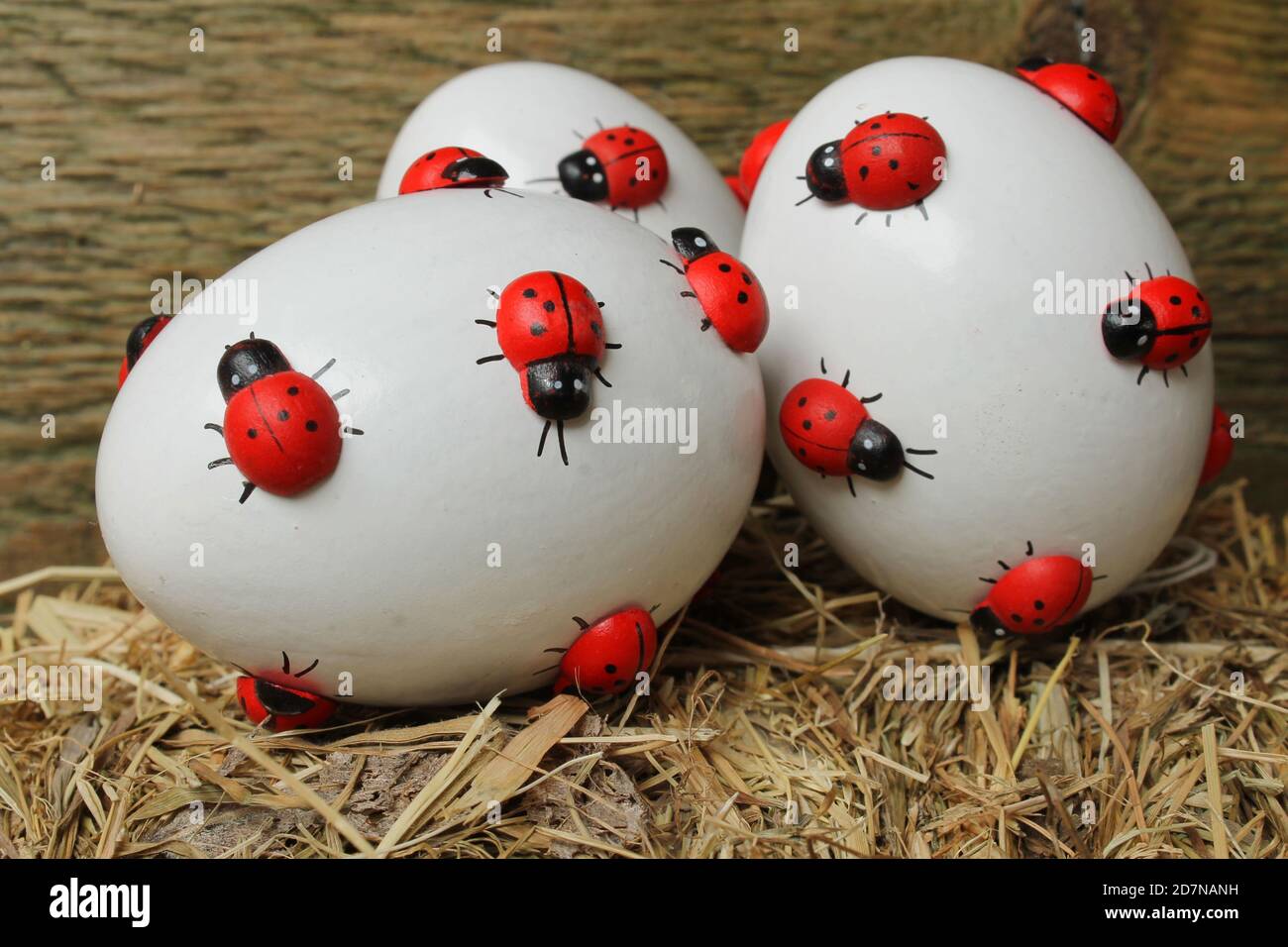 Easter eggs with ladybugs Stock Photo - Alamy
