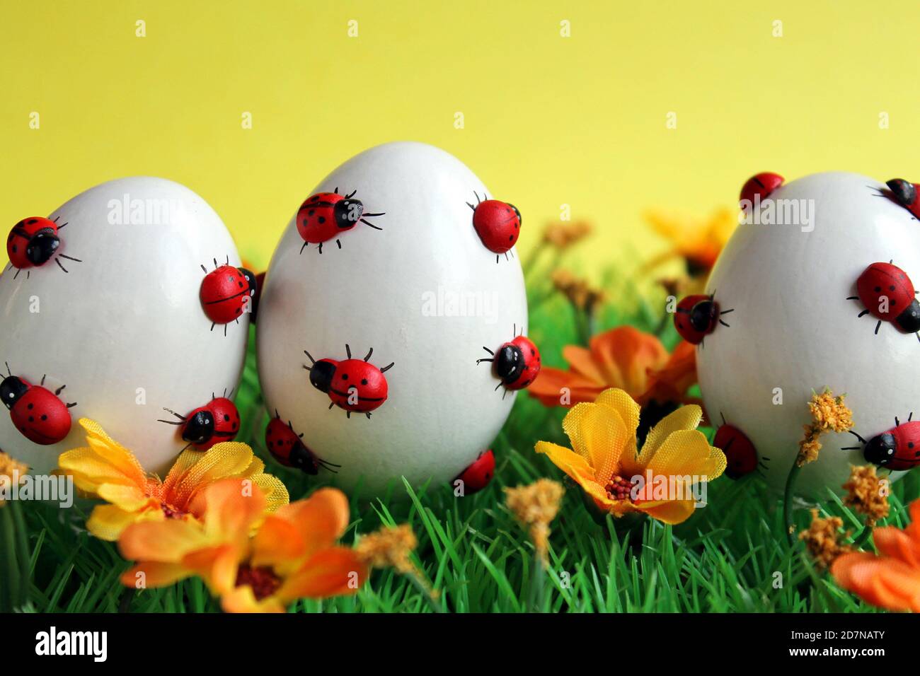 easter eggs with ladybirds Stock Photo - Alamy