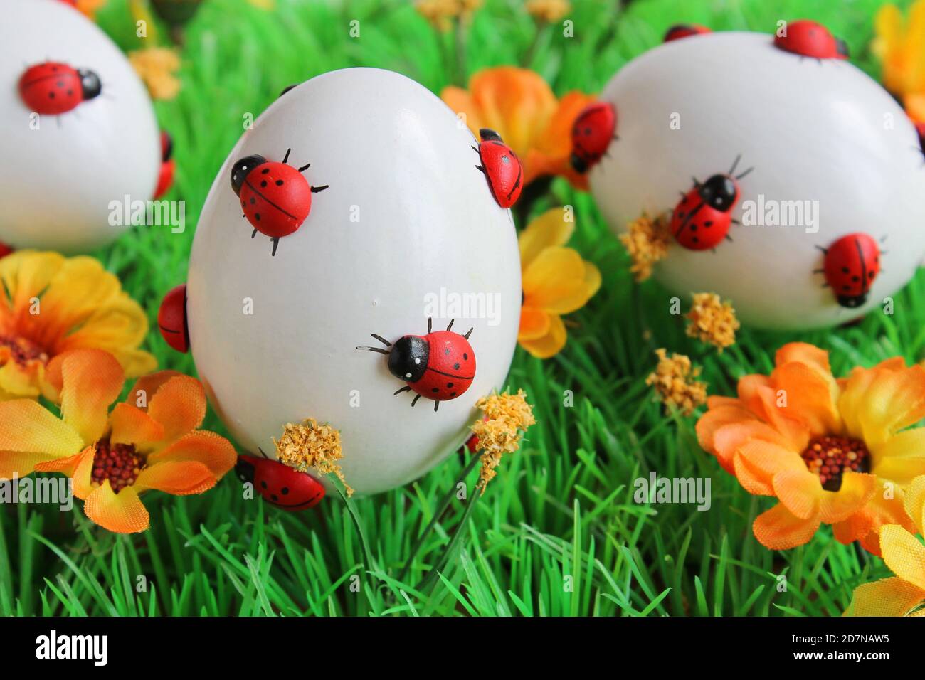 Ladybug eggs hi-res stock photography and images - Alamy