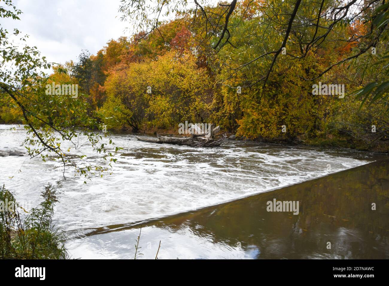 The Don River flowing at East York, Toronto Stock Photo - Alamy