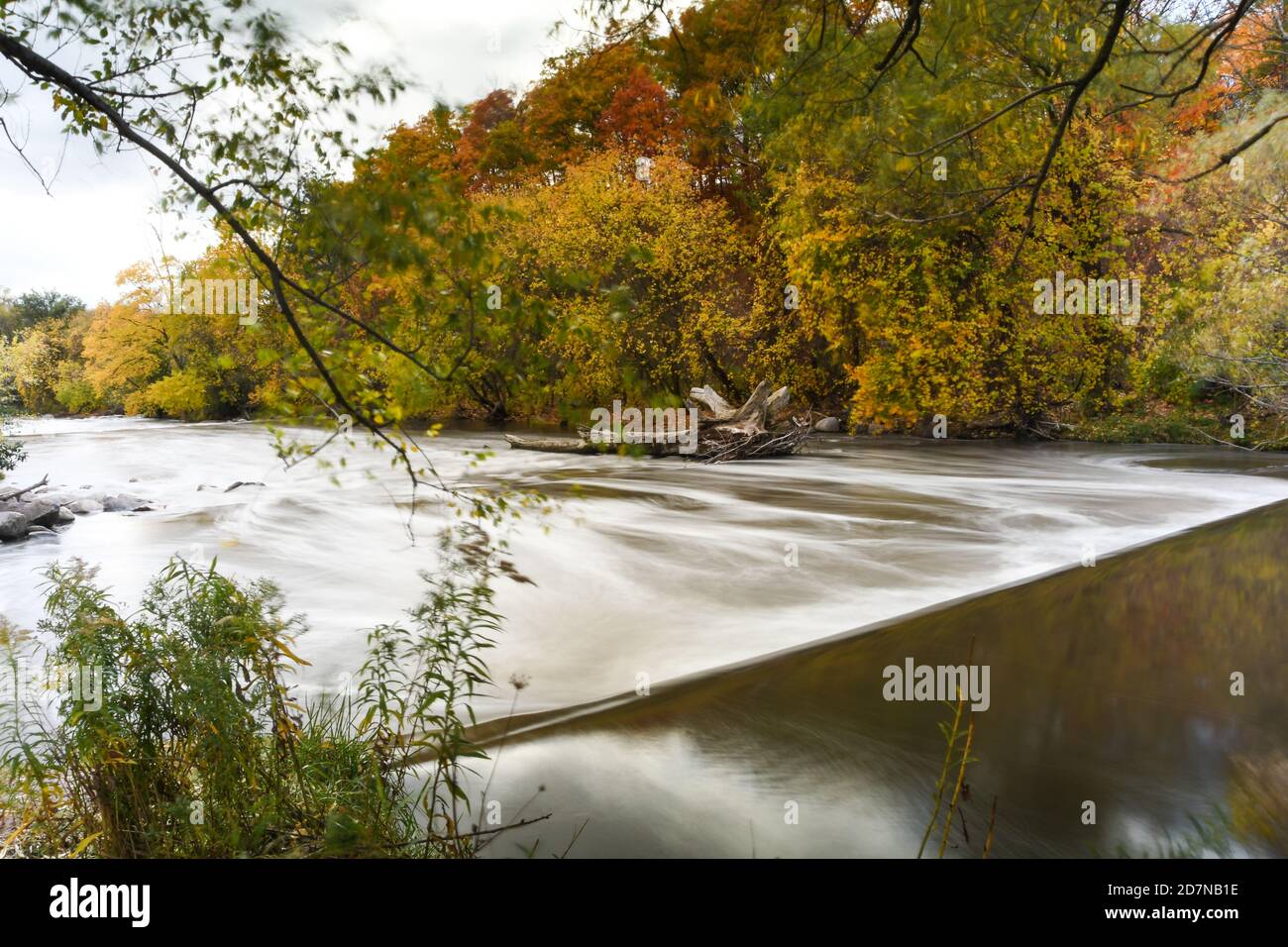 The Don River flowing at East York, Toronto Stock Photo - Alamy