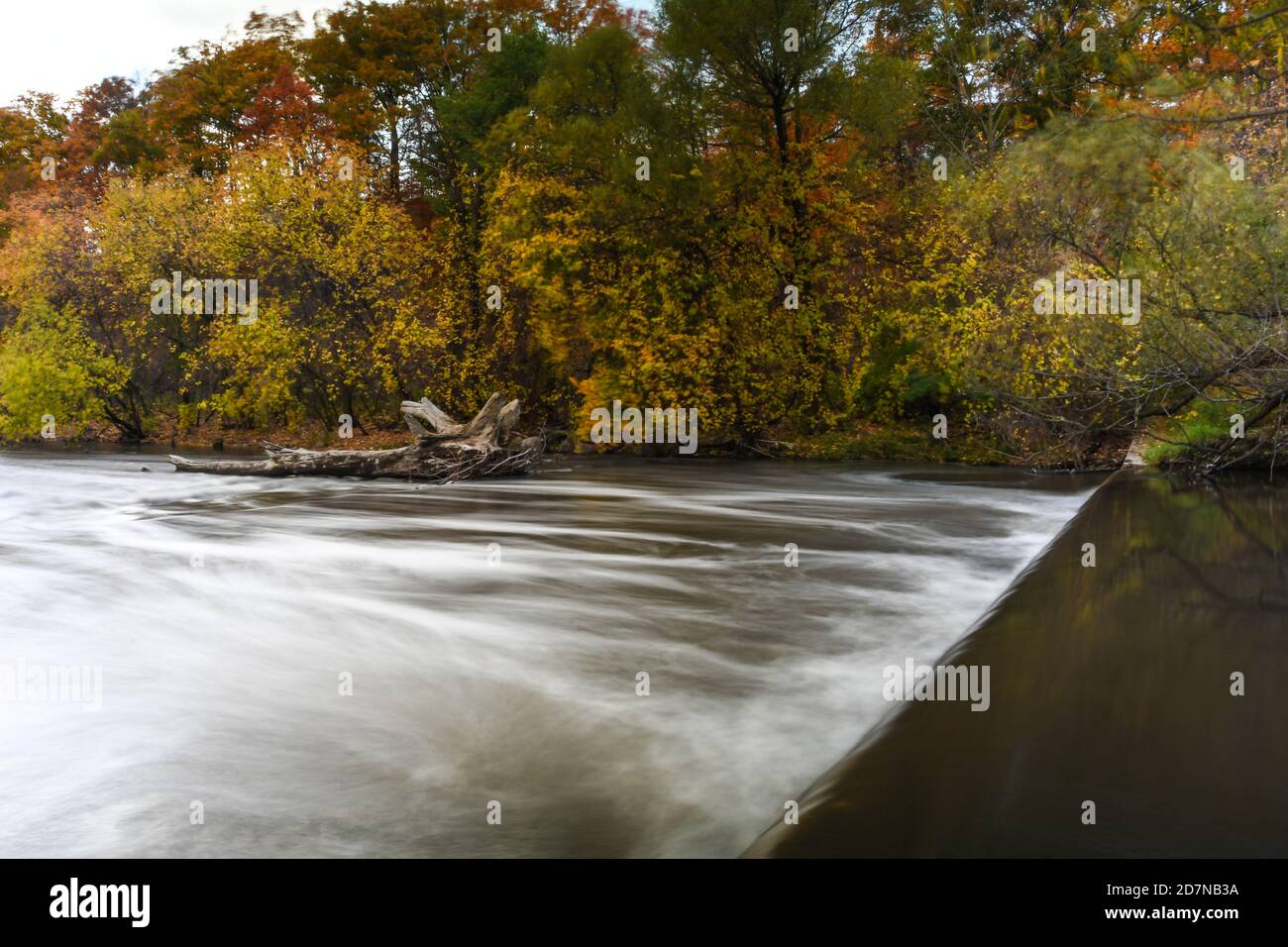 The Don River flowing at East York, Toronto Stock Photo - Alamy
