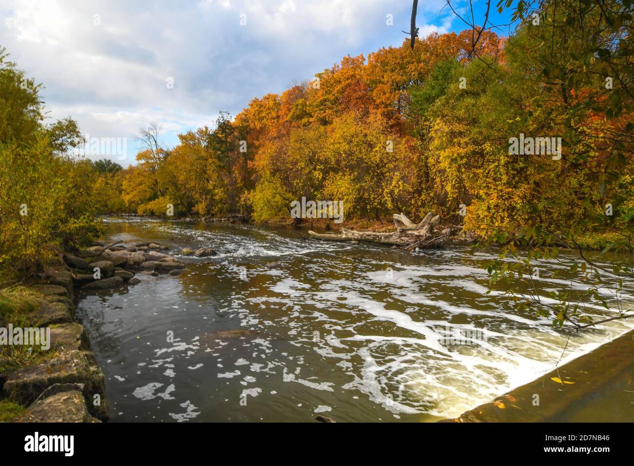The Don River flowing at East York, Toronto Stock Photo - Alamy