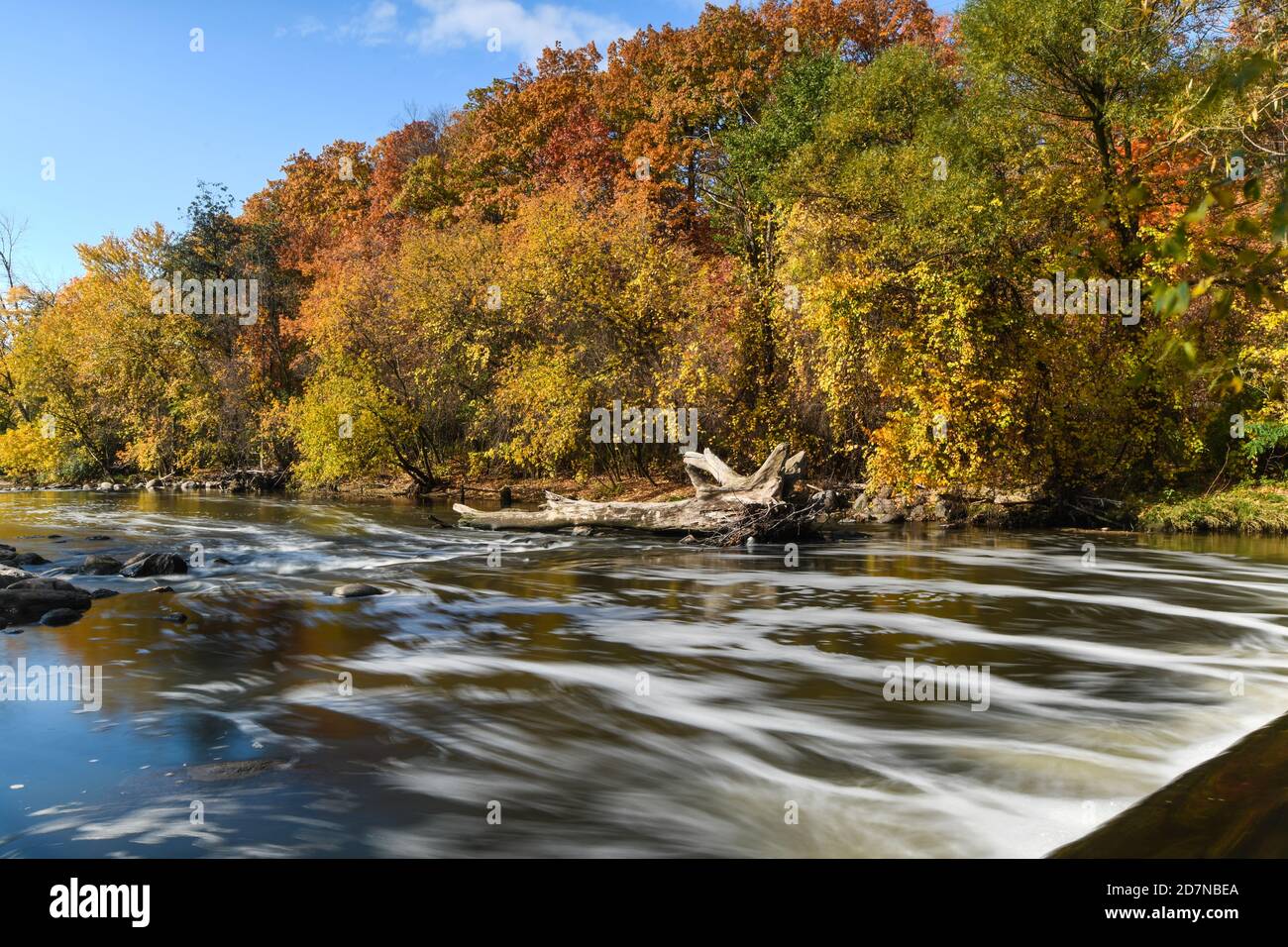 The Don River flowing at East York, Toronto Stock Photo - Alamy