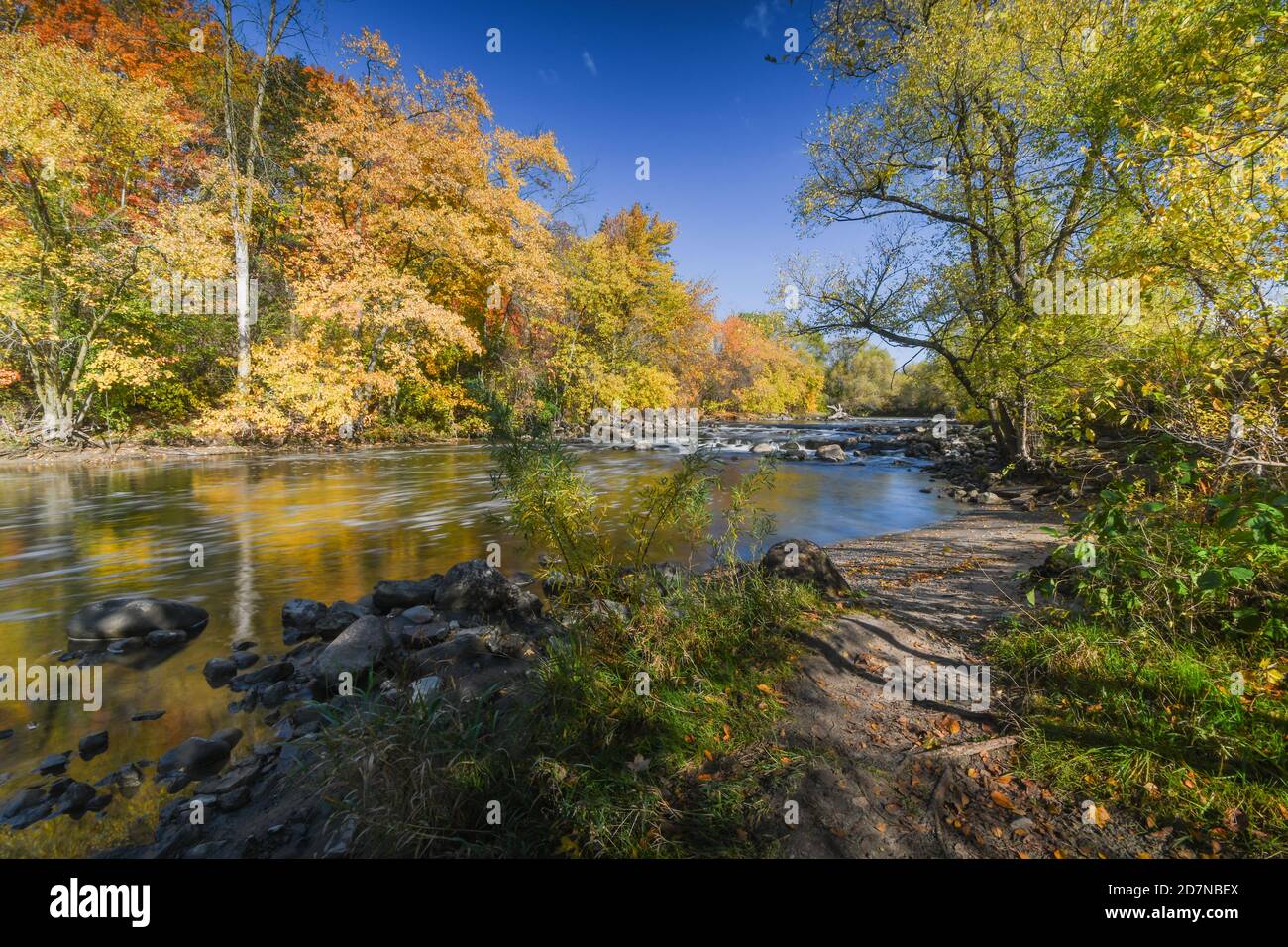 The Don River flowing at East York, Toronto Stock Photo - Alamy