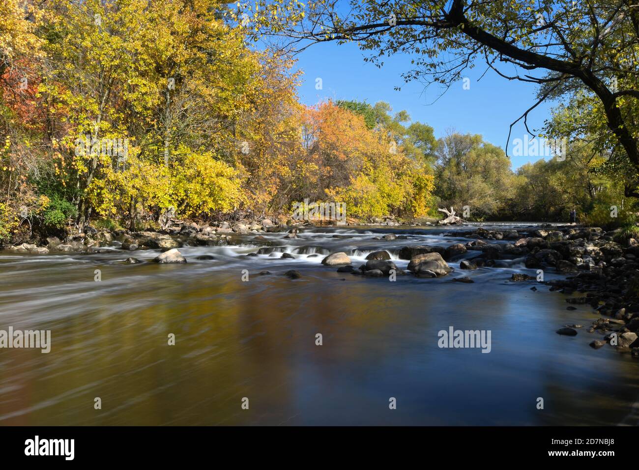 The Don River flowing at East York, Toronto Stock Photo - Alamy