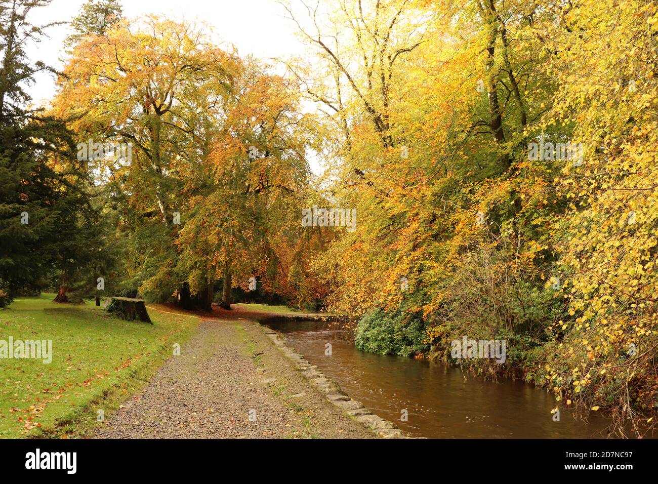 Autumn colours by river Stock Photo - Alamy