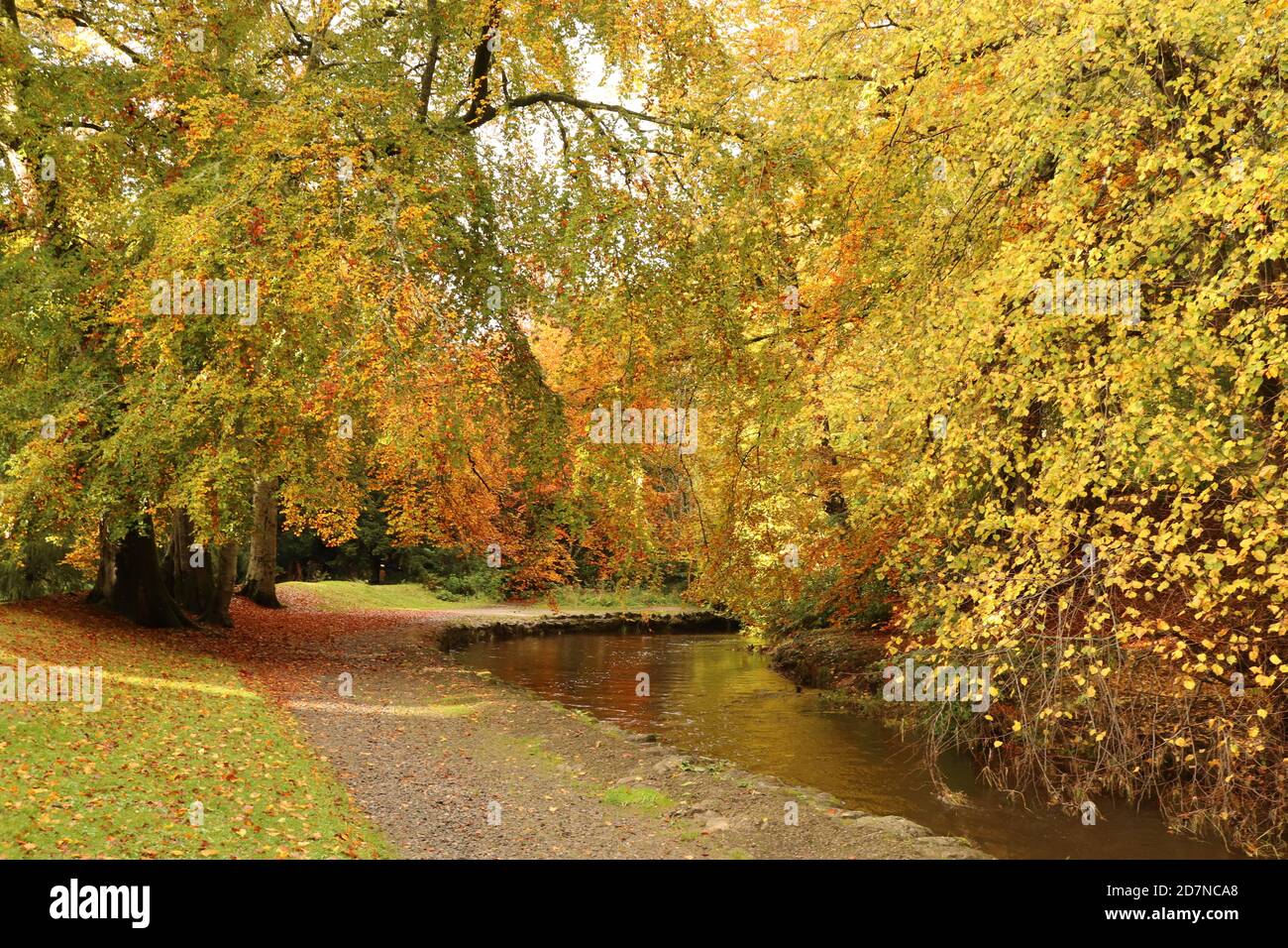 Autumn colours by river Stock Photo - Alamy