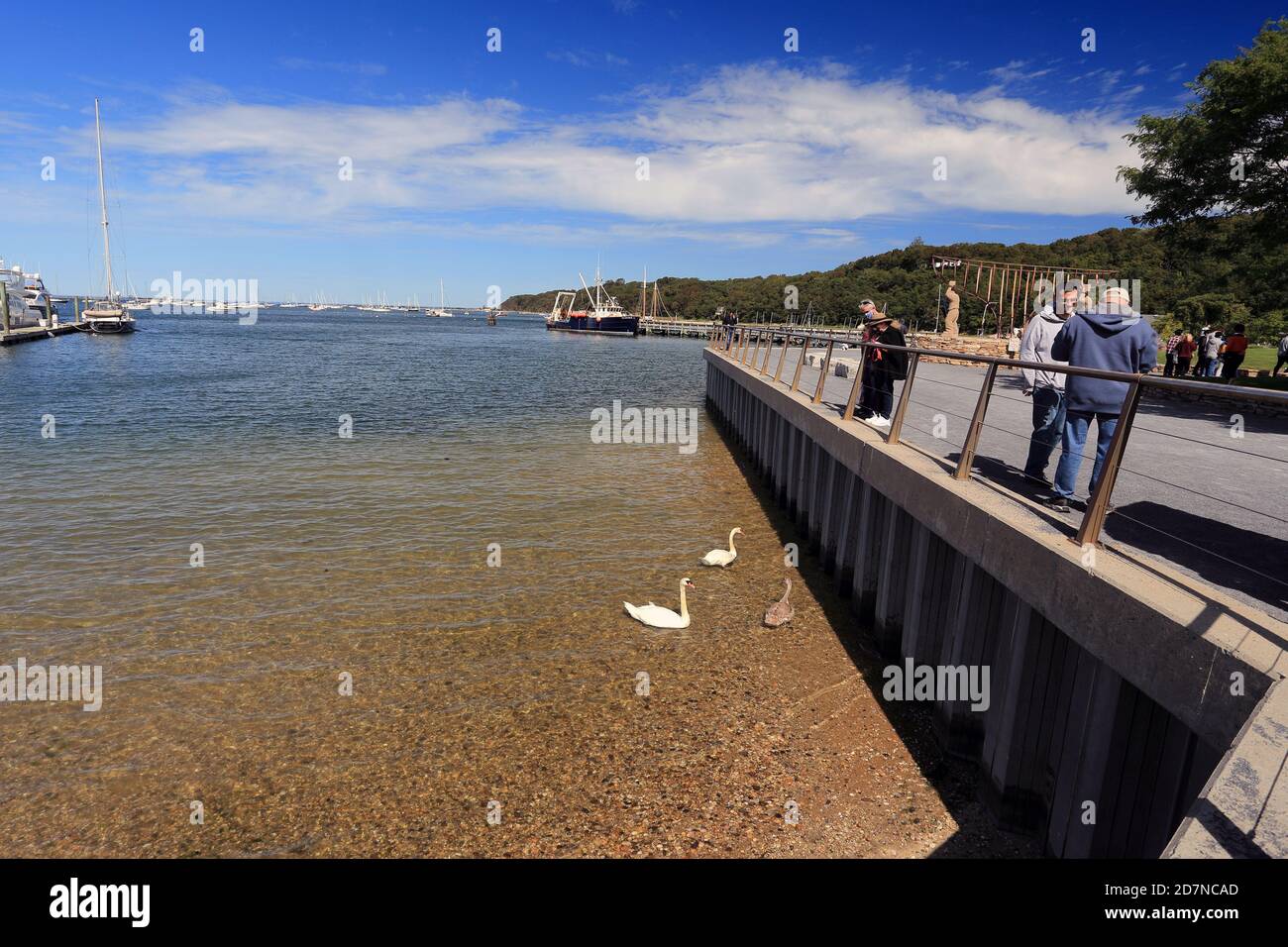 Port Jefferson harbor Long Island New York Stock Photo - Alamy