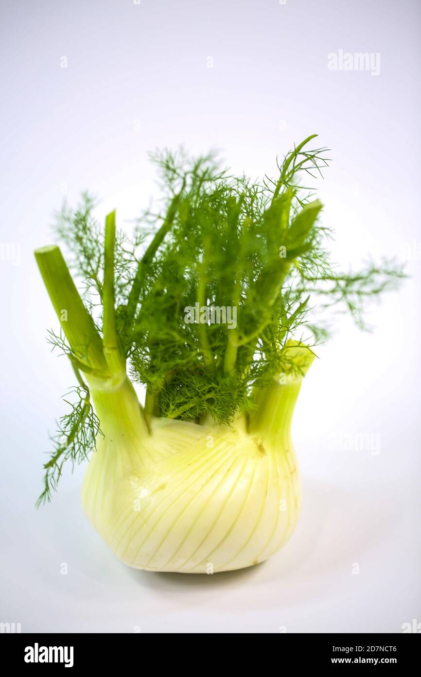 Fennel on white background Stock Photo - Alamy
