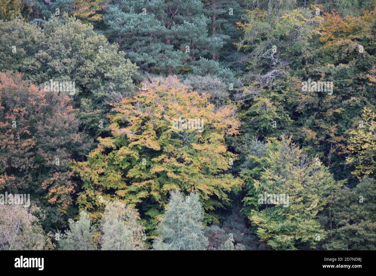 Wicklow Colours High Resolution Stock Photography and Images - Alamy
