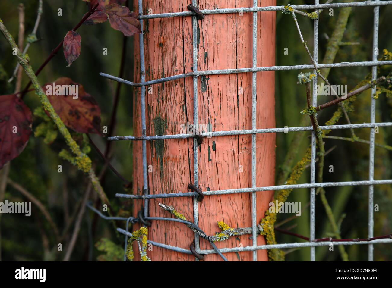 Metal mesh attached on a wooden pole Stock Photo - Alamy
