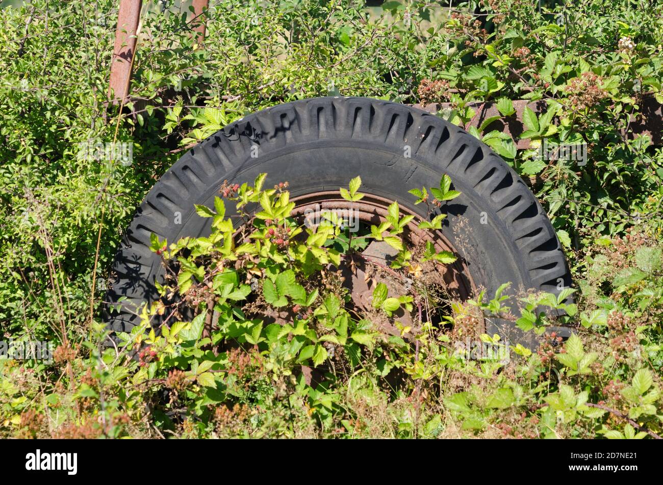Used to make tires hi-res stock photography and images - Alamy