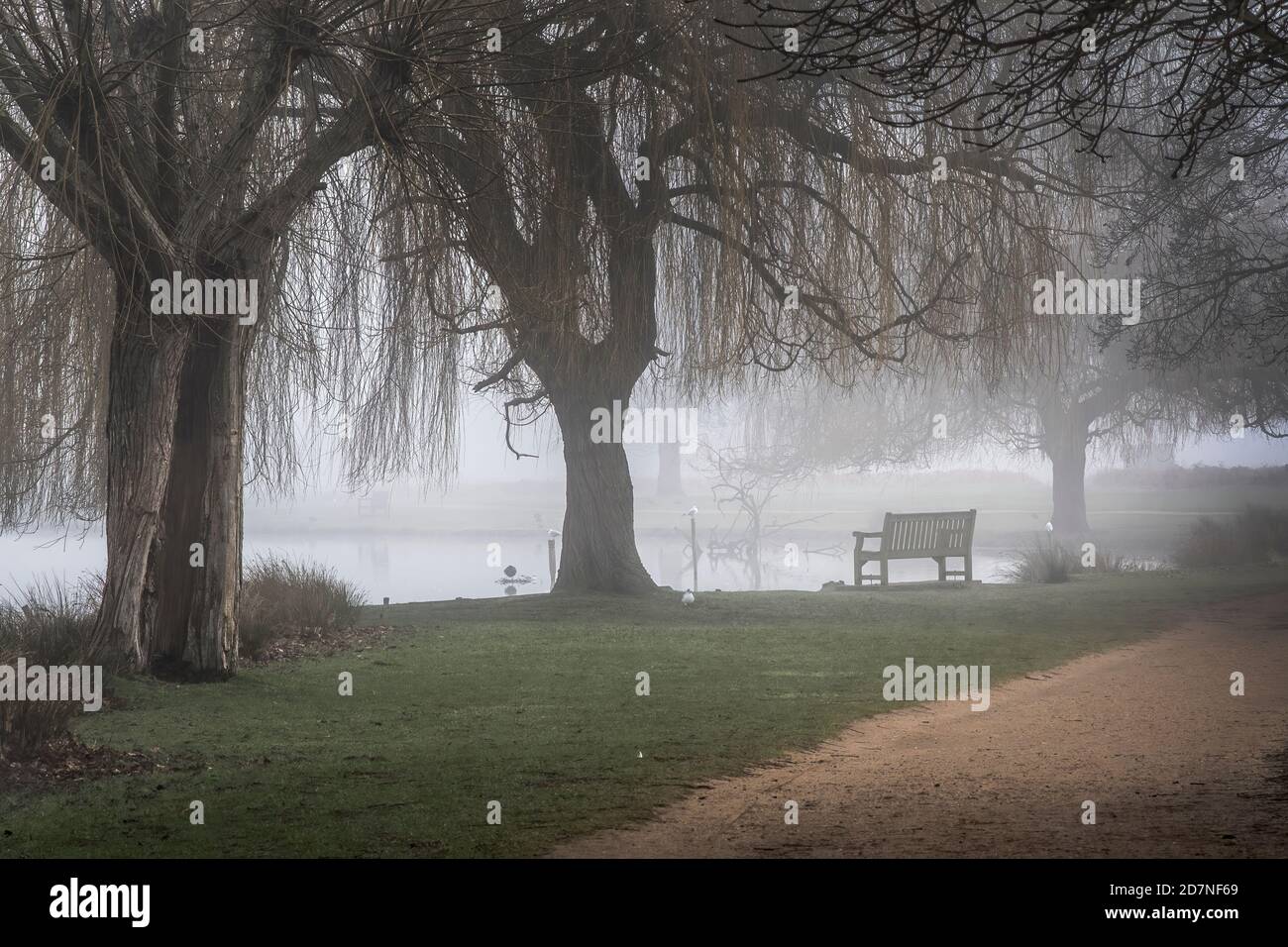 Cold misty morning with lone bench beside the still water Stock Photo ...