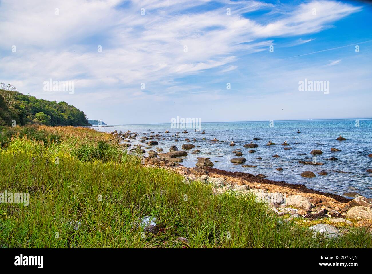 Baltic Sea beach beautiful landscape with stones Stock Photo - Alamy