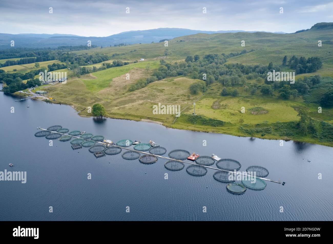 Fish farm salmon round nets in natural environment Loch Awe Arygll and ...