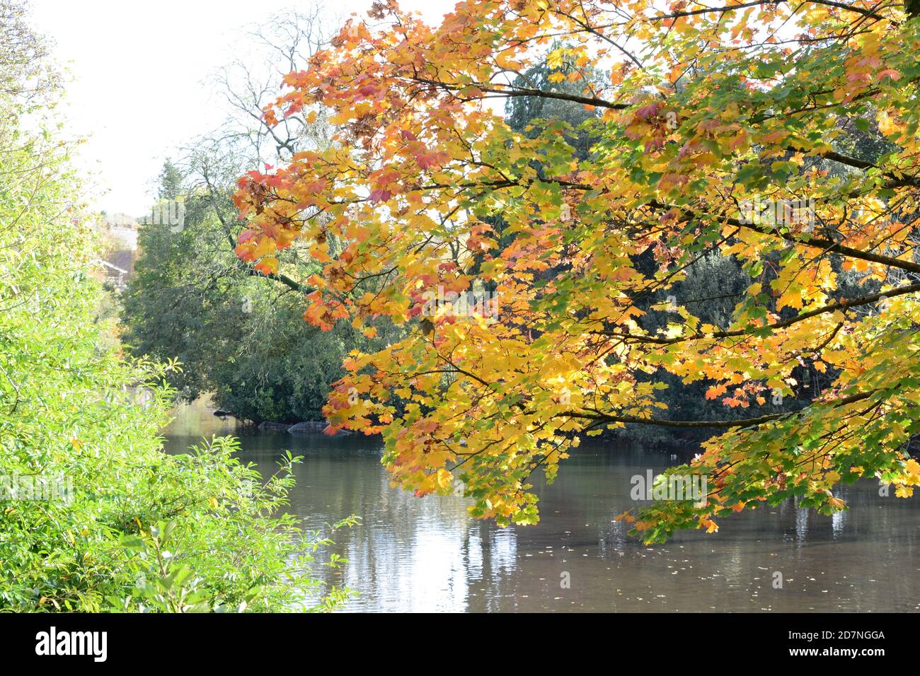 A walk in the woods. The perfect place to unwind and feel close to ...