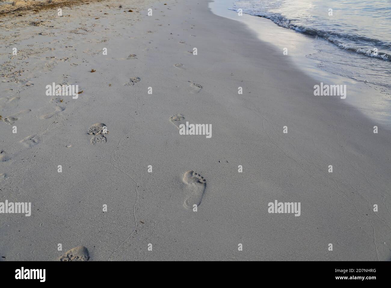 Beautiful shot of footprints on a sandy beach - perfect for background ...