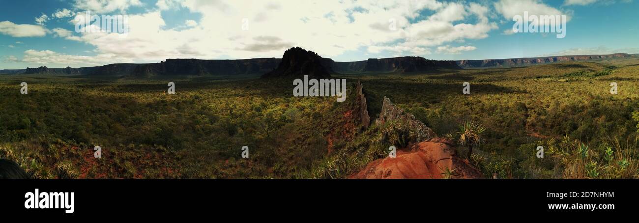 Stunning view of the cerrado of the Brazilian national park Stock Photo ...